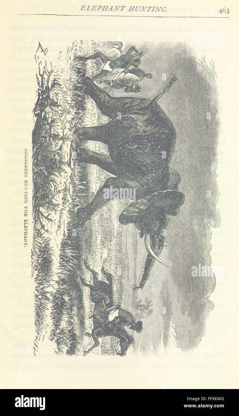 'Great African Travellers' explores the journeys of renowned explorers ...