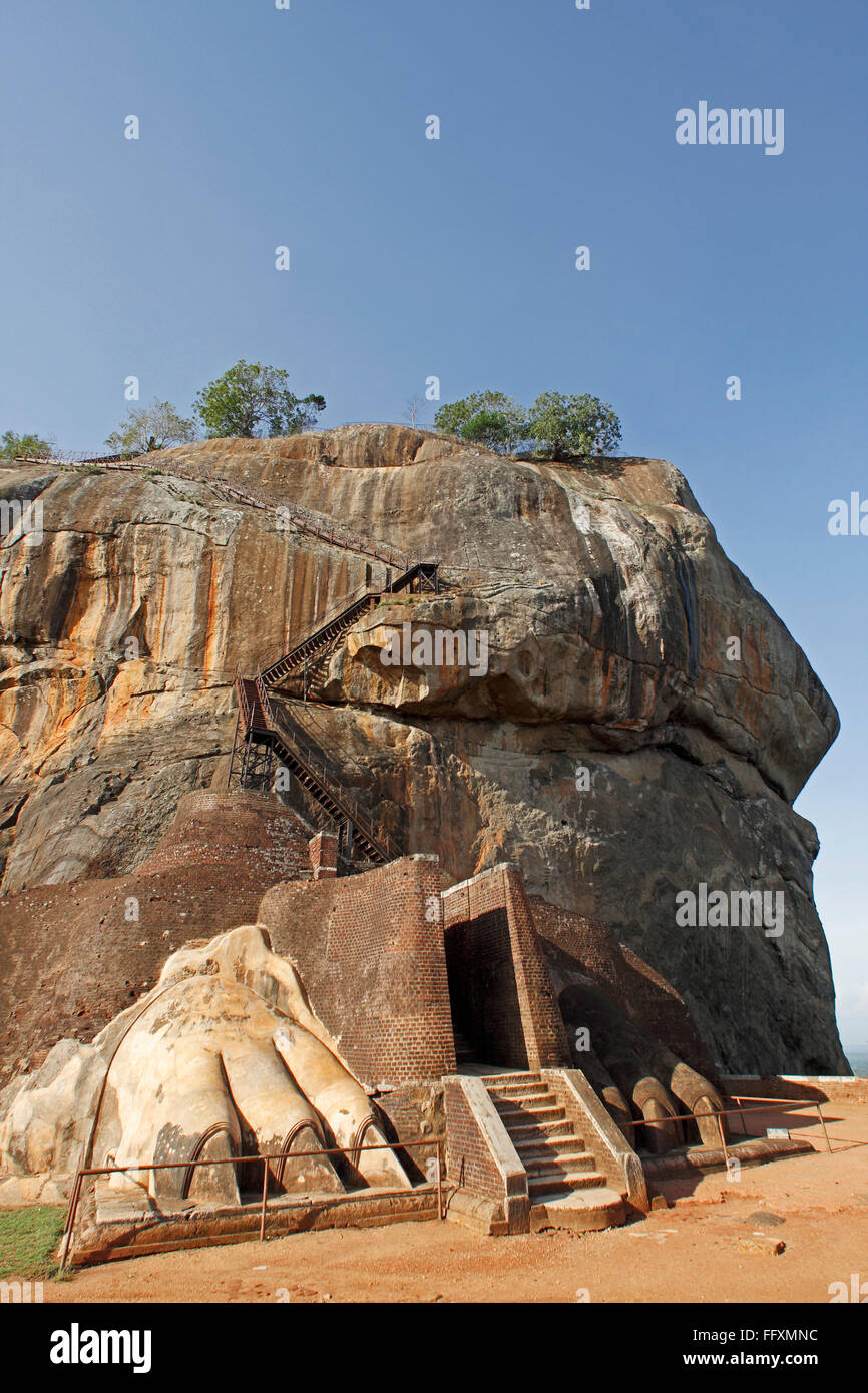 Lion's paws , 5th century lion's head , Sakya simha (lion of the sakya ...