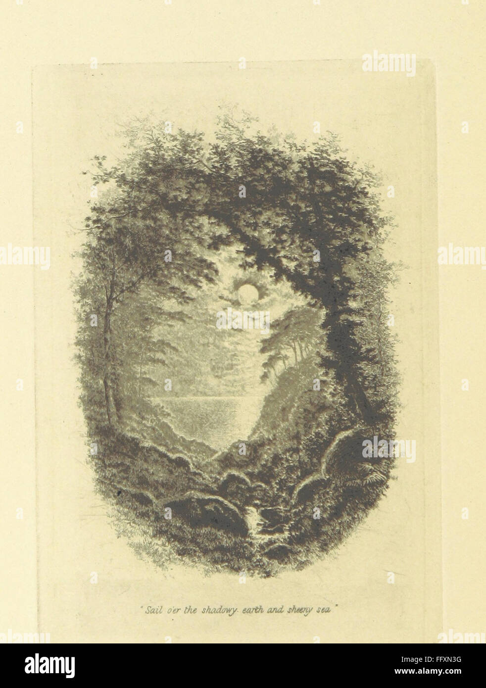 'The Dawning Grey' is a collection of verses illustrated by the author ...