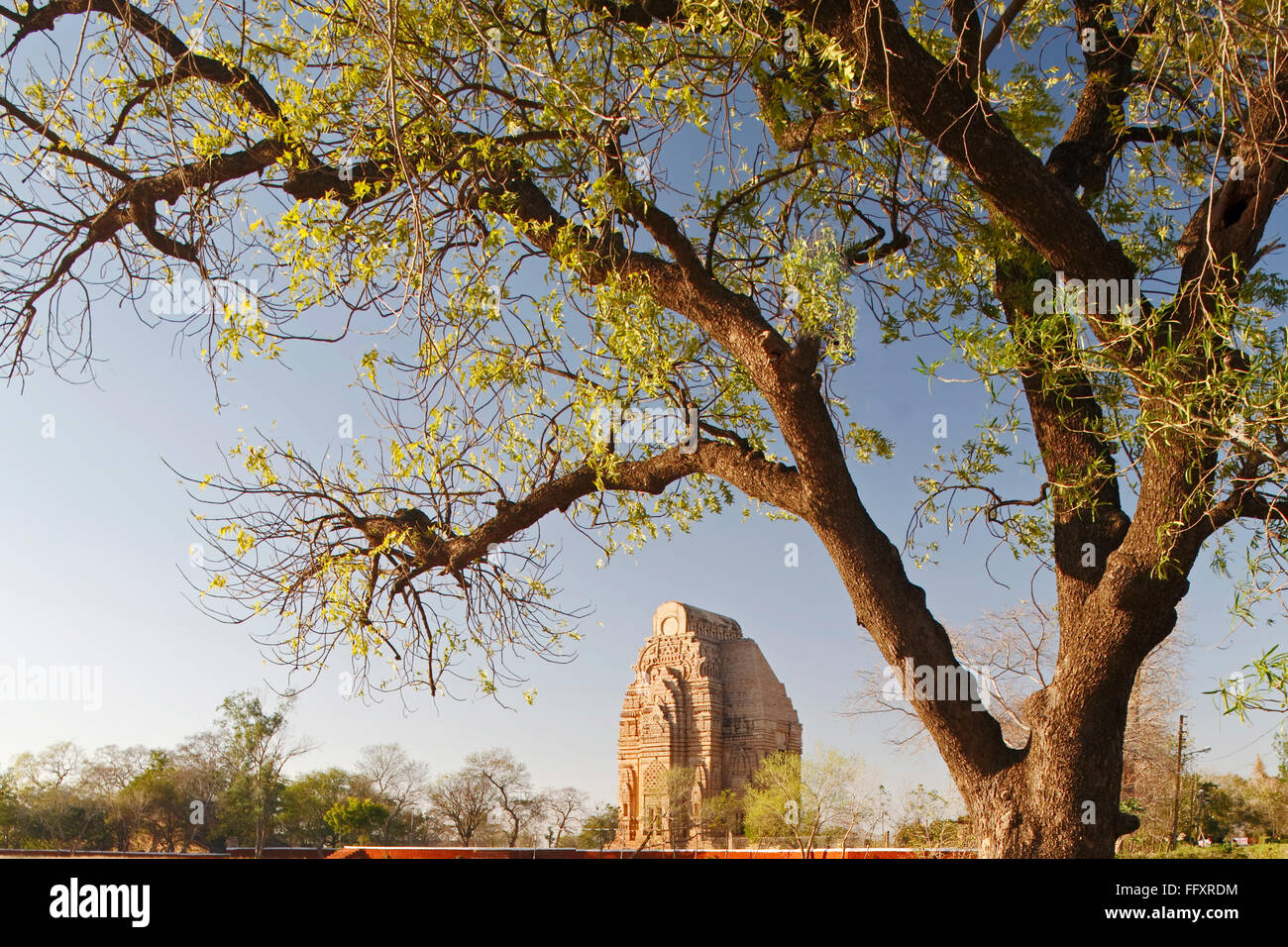 Architecture heritage teli ka temple hi-res stock photography and ...