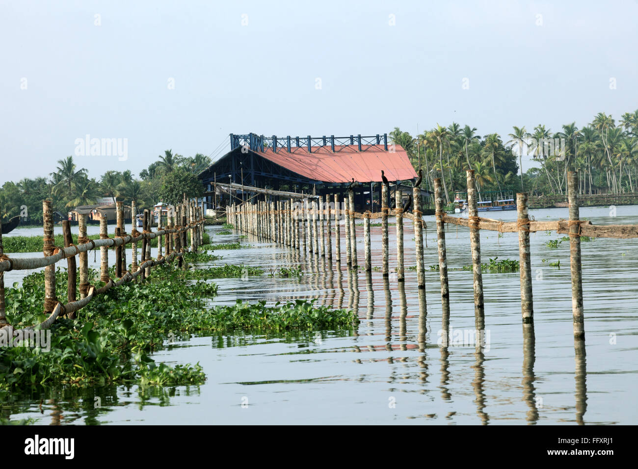 Punnamada lake ; Alleppey ; Alappuzha ; Kerala ; India Stock Photo - Alamy