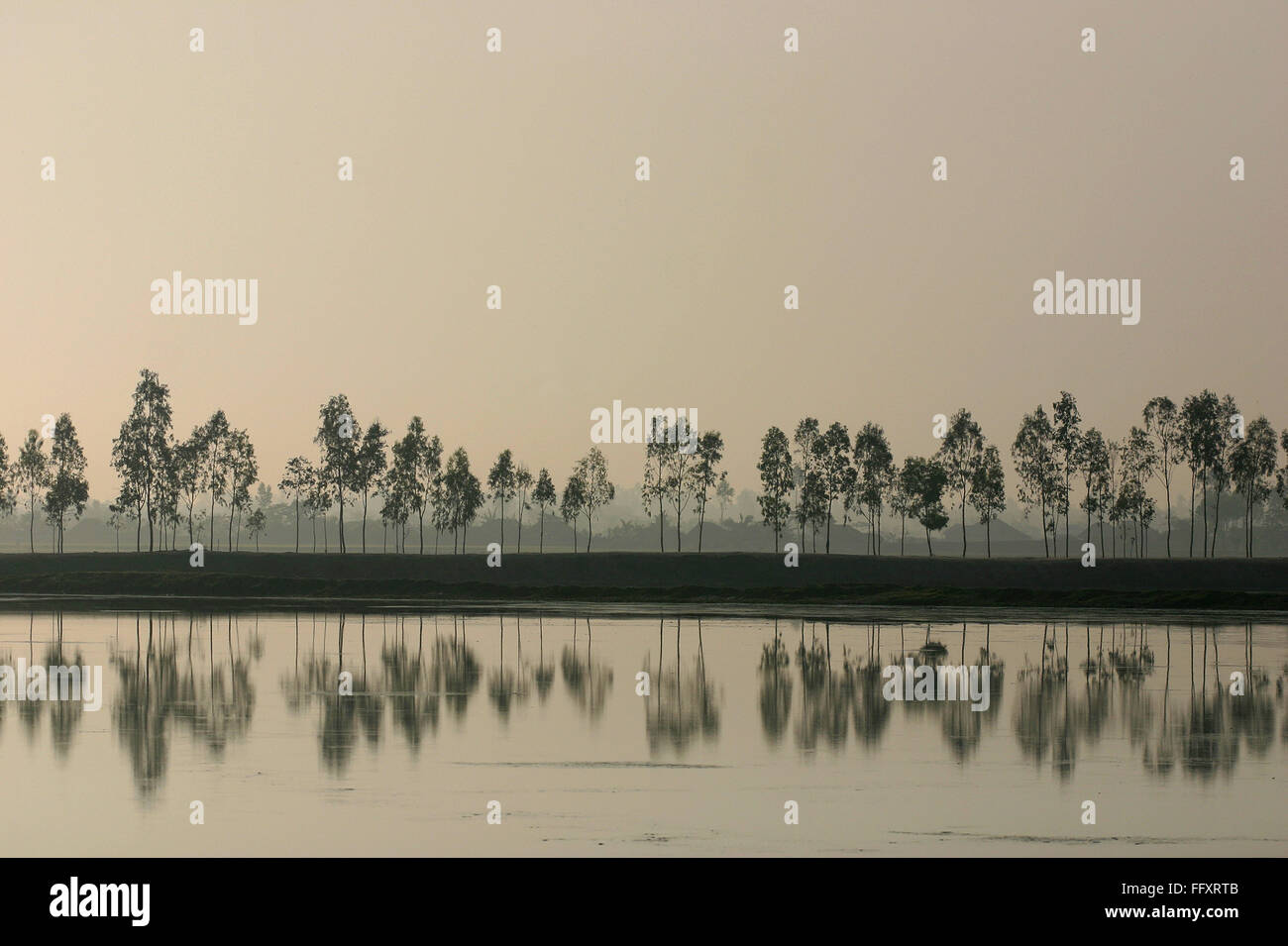 Trees reflection in river Stock Photo - Alamy