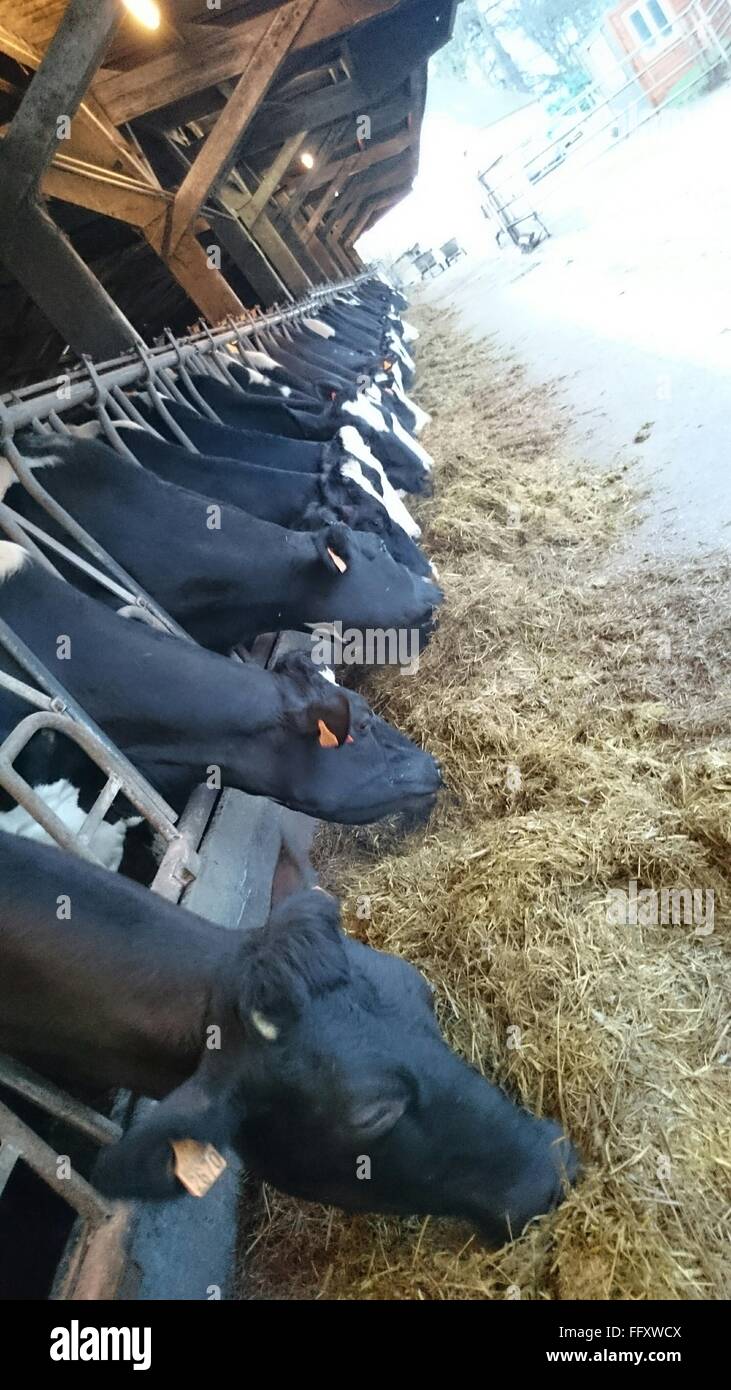 Row side by side hi-res stock photography and images - Alamy