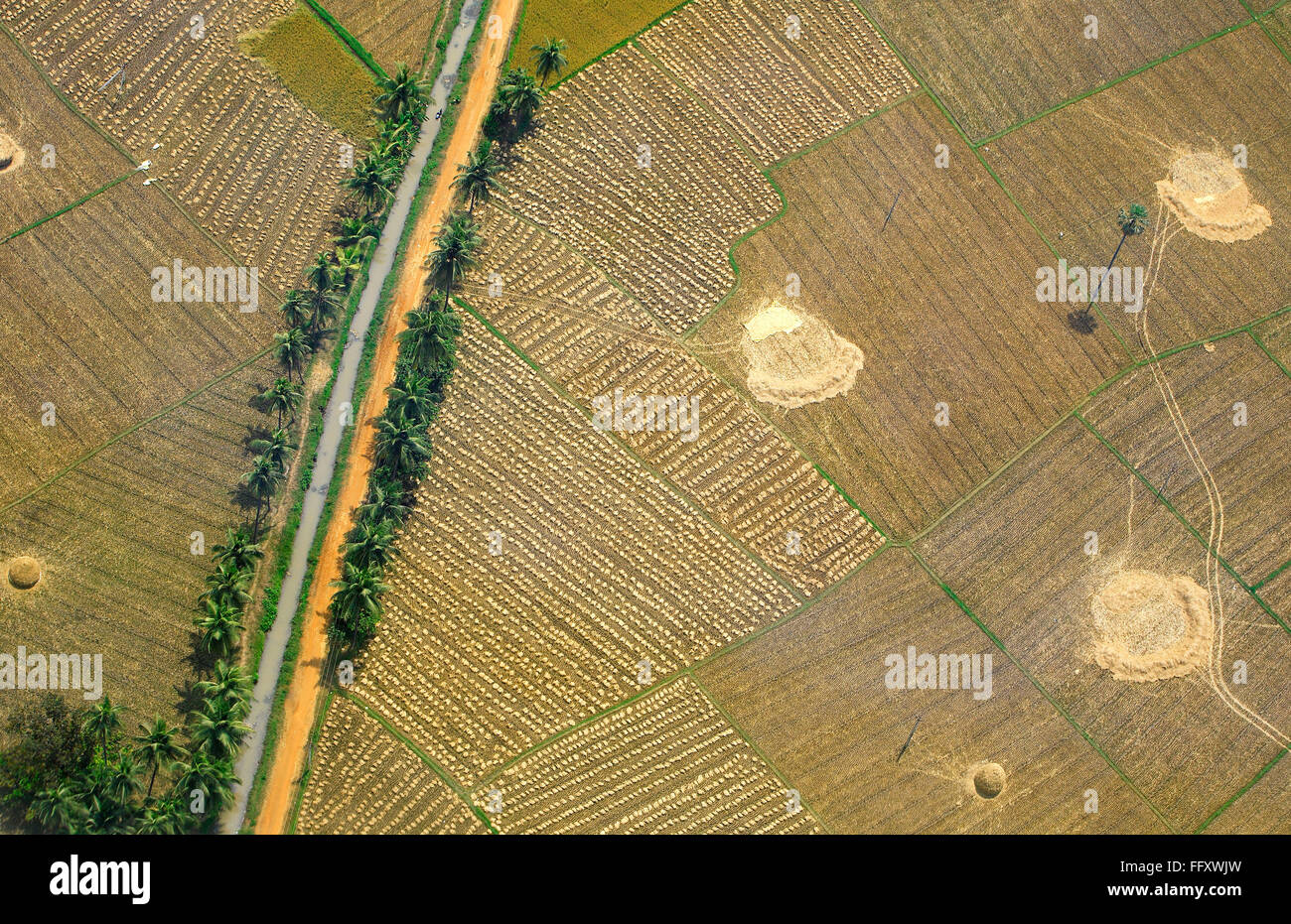 Aerial view of field near at river , Andhra Pradesh , India Stock Photo ...