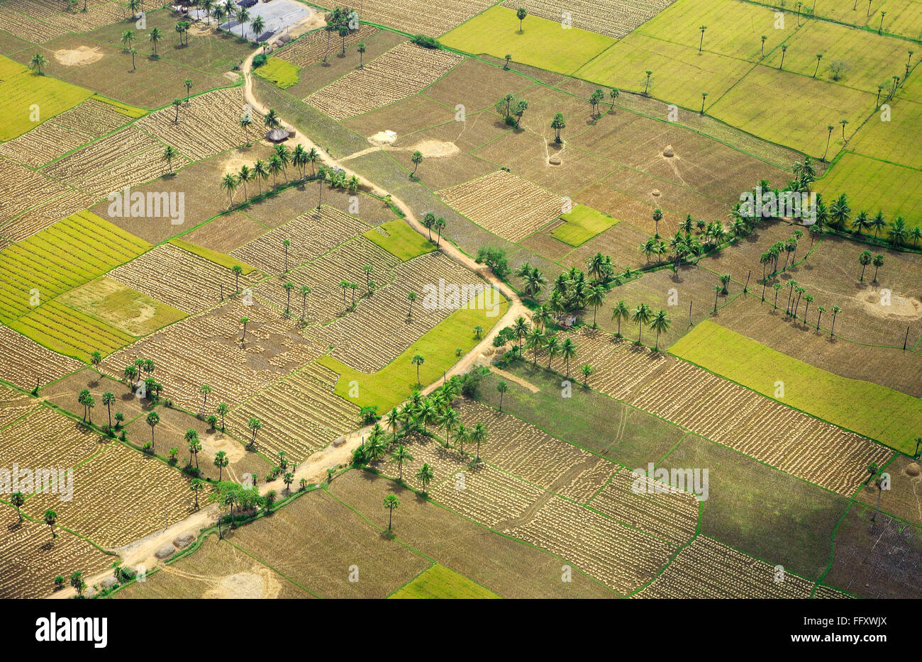 Aerial view of field , Andhra Pradesh , India Stock Photo - Alamy