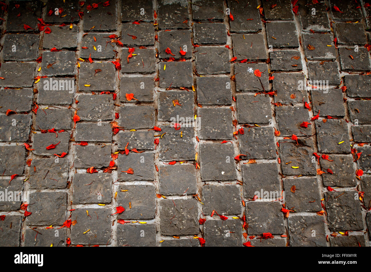 Stone pattern in Aga Khan palace , Pune , Maharashtra , India Stock ...