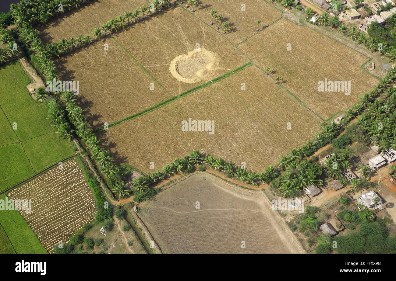Aerial view of uncultivated field surrounded by palm trees , Andhra ...