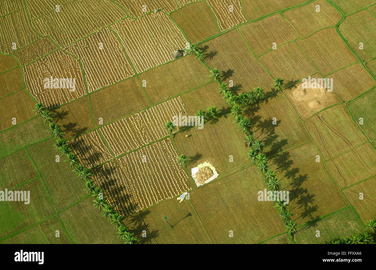 Aerial view of tilled and uncultivated field , Andhra Pradesh , India ...