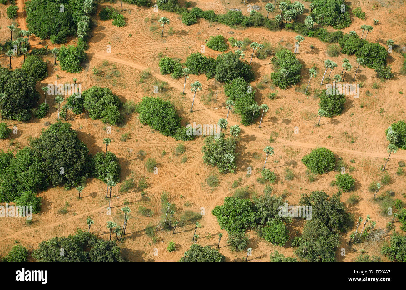 Aerial view of land surrounding trees , Andhra Pradesh , India Stock ...