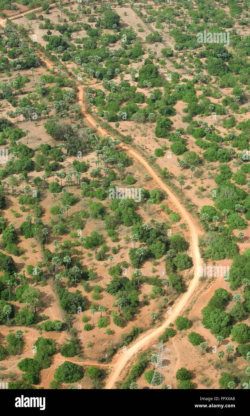 Aerial view of land surrounding trees , Andhra Pradesh , India Stock ...