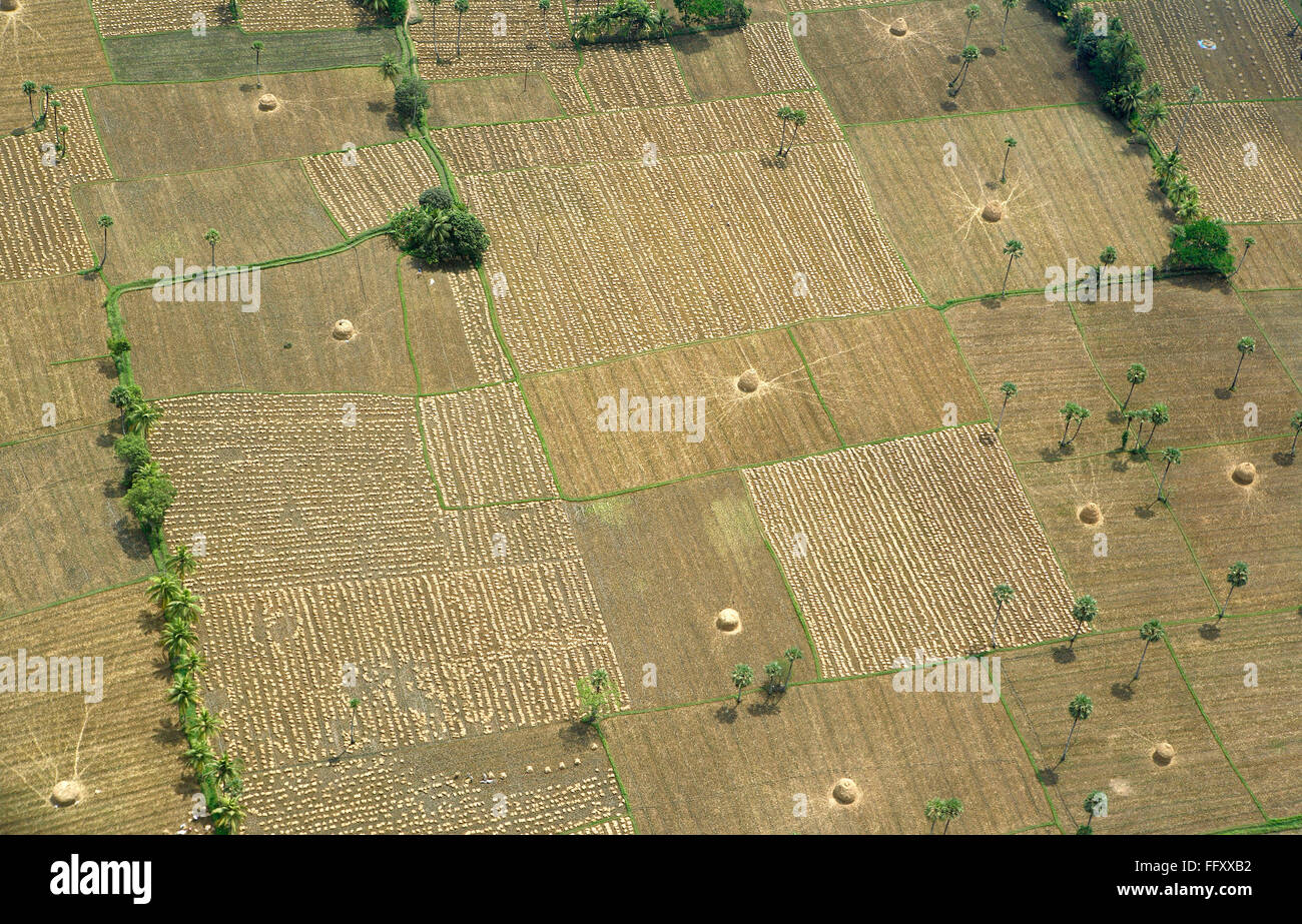 Aerial view of tilled and uncultivated field , Andhra Pradesh , India ...
