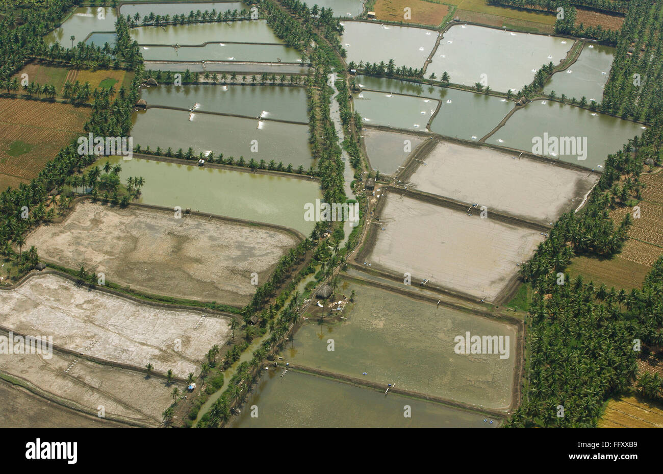 Aerial view of pond with uncultivated field , Andhra Pradesh , India ...