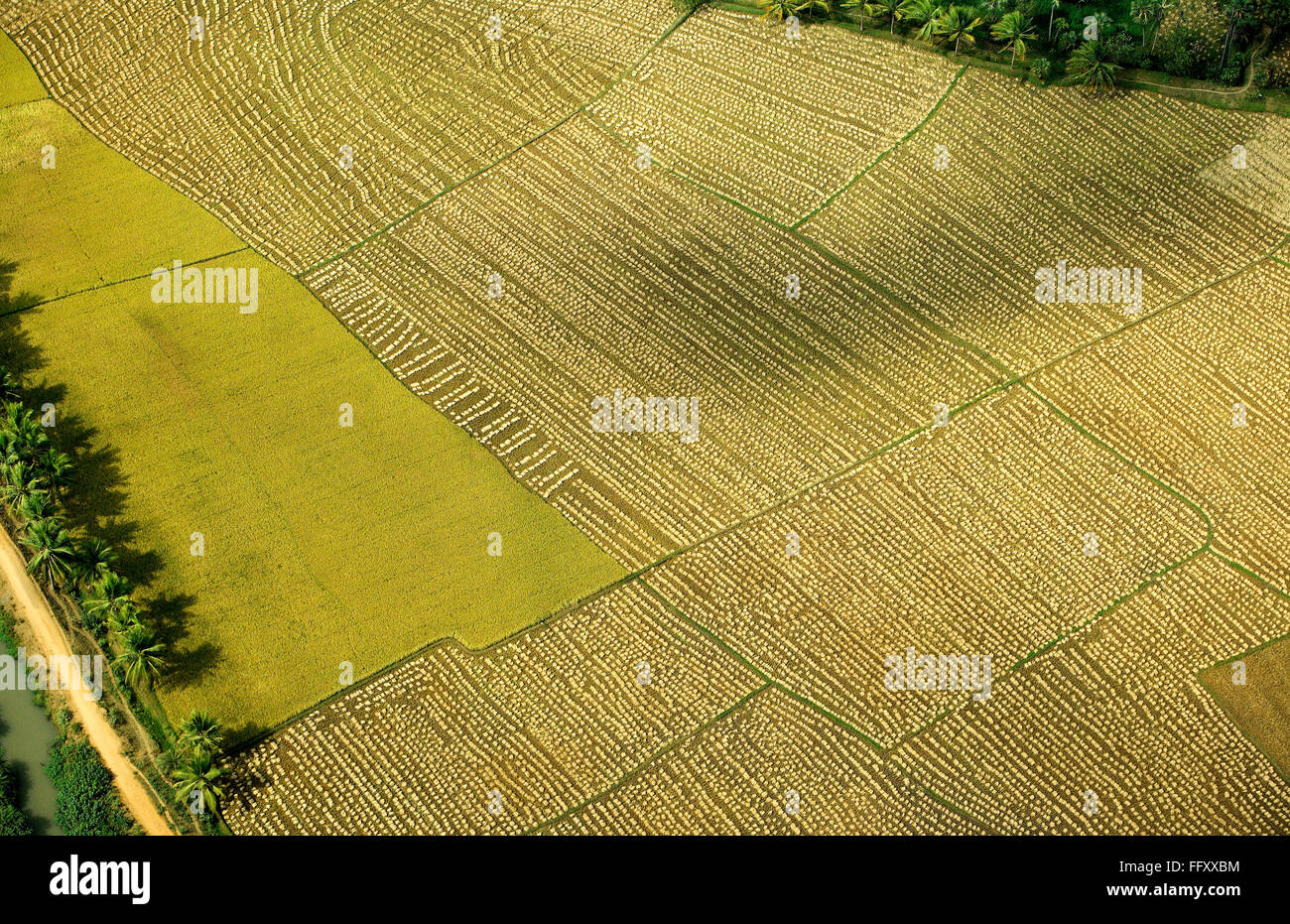 Aerial view of tilled field , Andhra Pradesh , India Stock Photo - Alamy