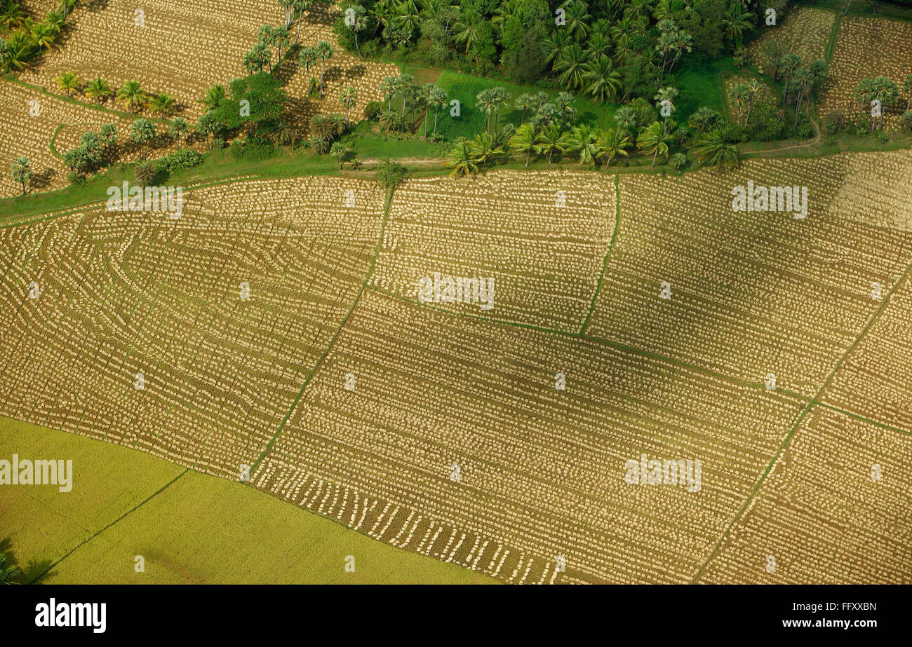 Aerial view of tilled field , Andhra Pradesh , India Stock Photo - Alamy