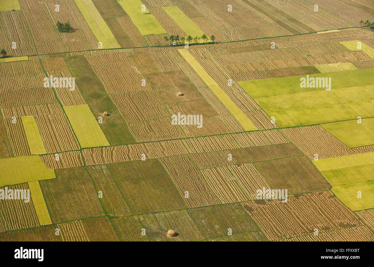 Aerial view of tilled field , Andhra Pradesh , India Stock Photo - Alamy