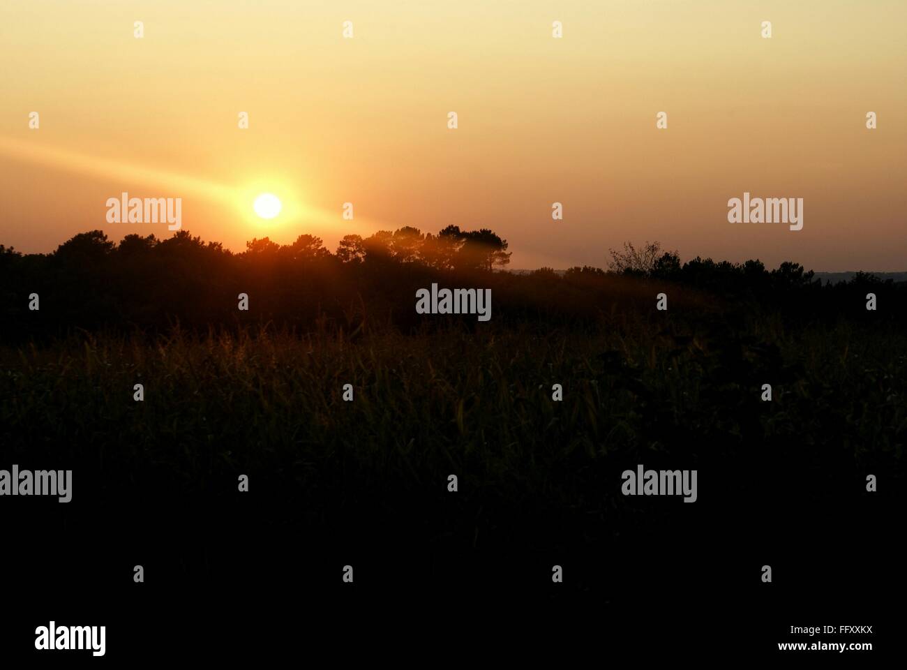 Silhouette Of Field At Sunset Stock Photo - Alamy