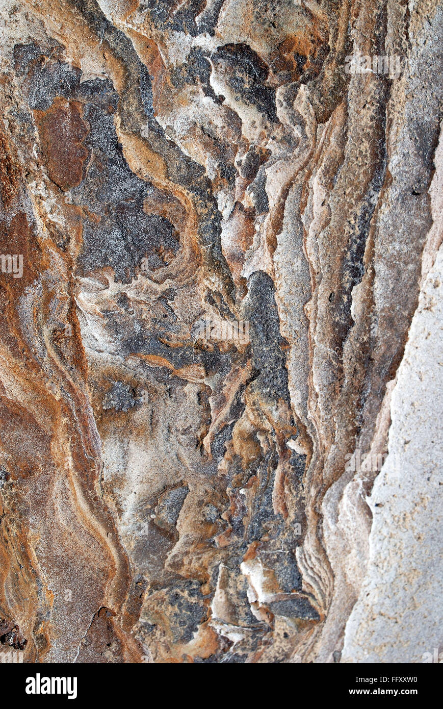 Textures created by soil formation , Virani , Kutch , Gujarat , India ...