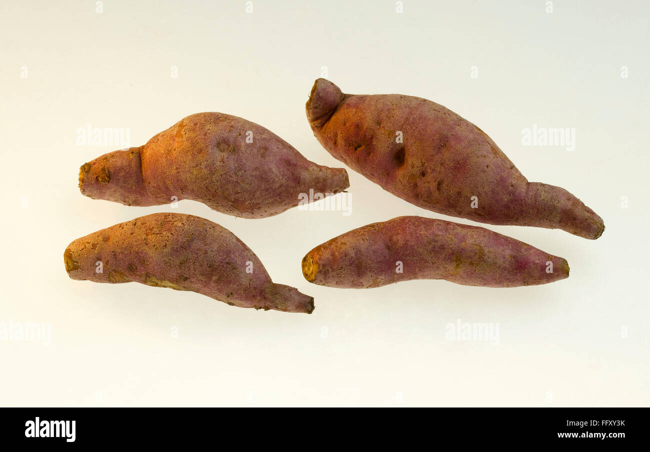 Root are used hi-res stock photography and images - Alamy