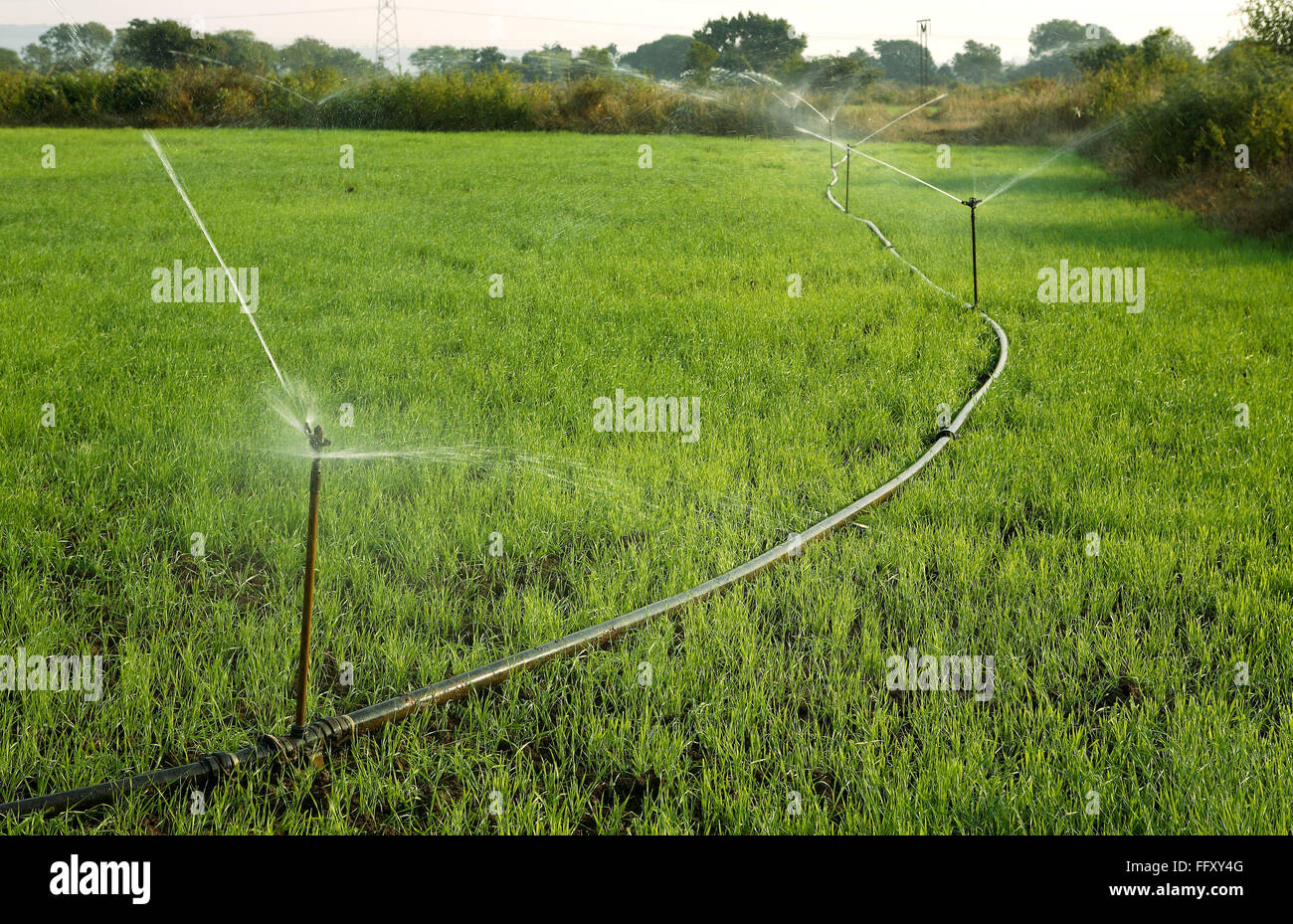 Irrigating hi-res stock photography and images - Alamy