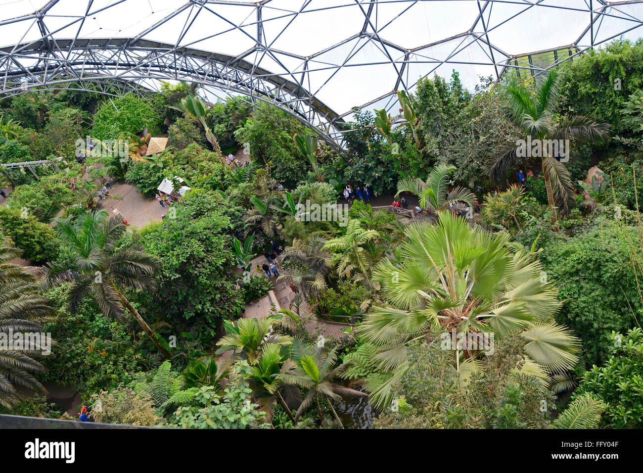 Inside the Eden Project Tropical Forest BioDome. Birds eye view looking ...