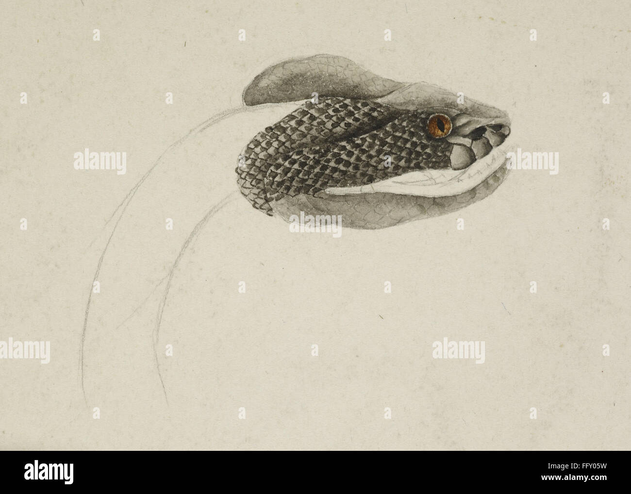 Ake font hi-res stock photography and images - Alamy