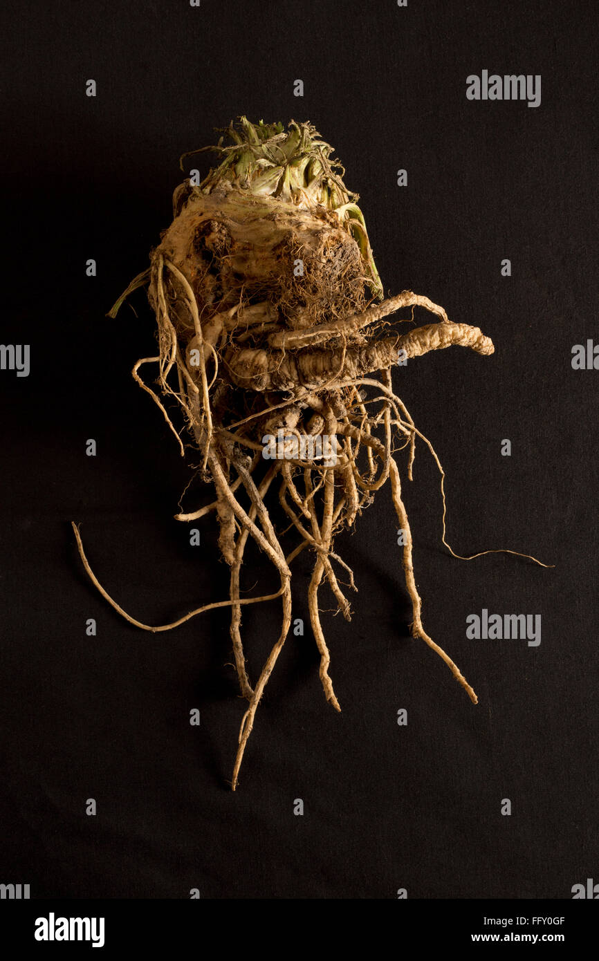 Wonky vegetables hi-res stock photography and images - Alamy