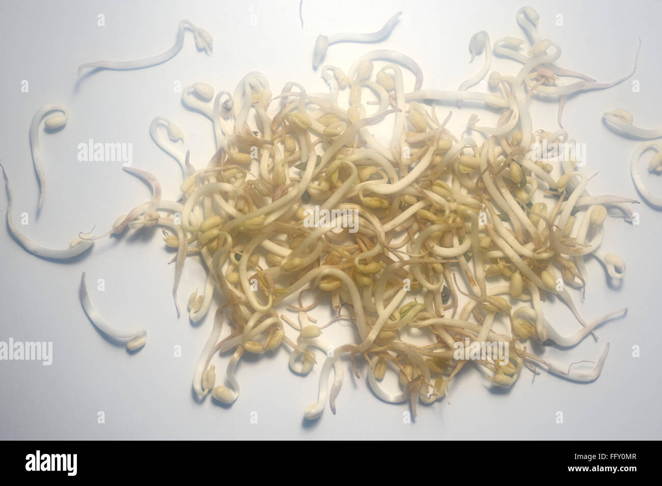 Food , sprouted mung moong on white background Stock Photo - Alamy