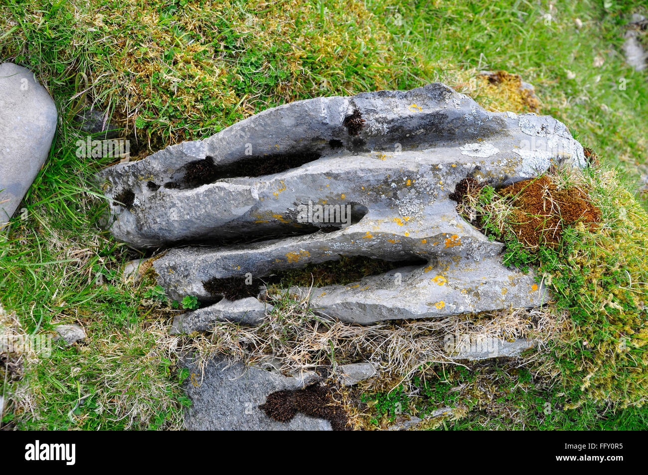 Weathered limestone hi-res stock photography and images - Alamy