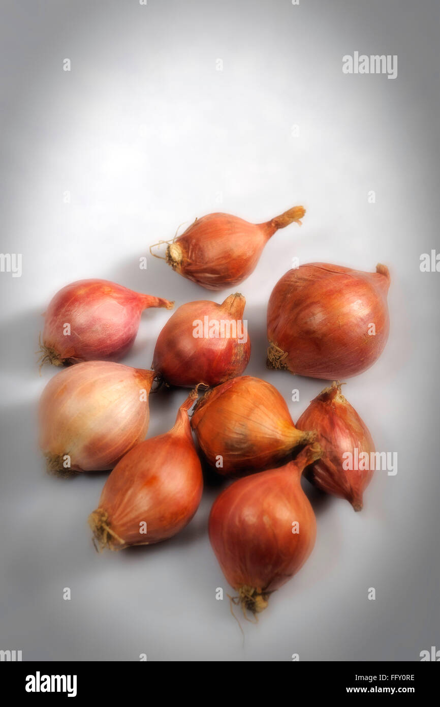 Spices , small onion on white background Stock Photo - Alamy