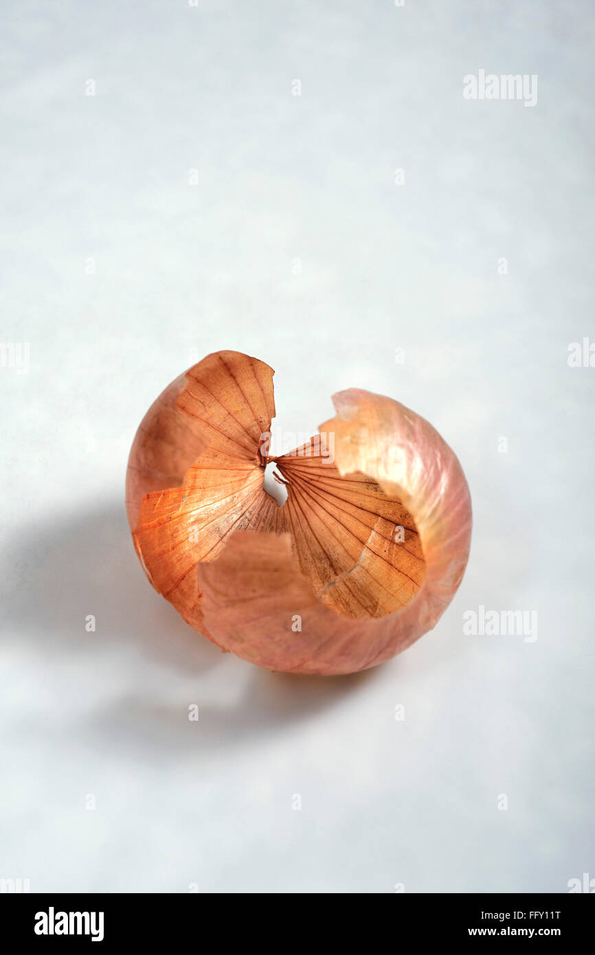 Concept , onion skin on white background Stock Photo - Alamy