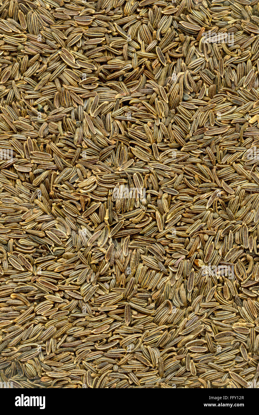 Spices , masala shahi jeera black cumin seed Stock Photo - Alamy