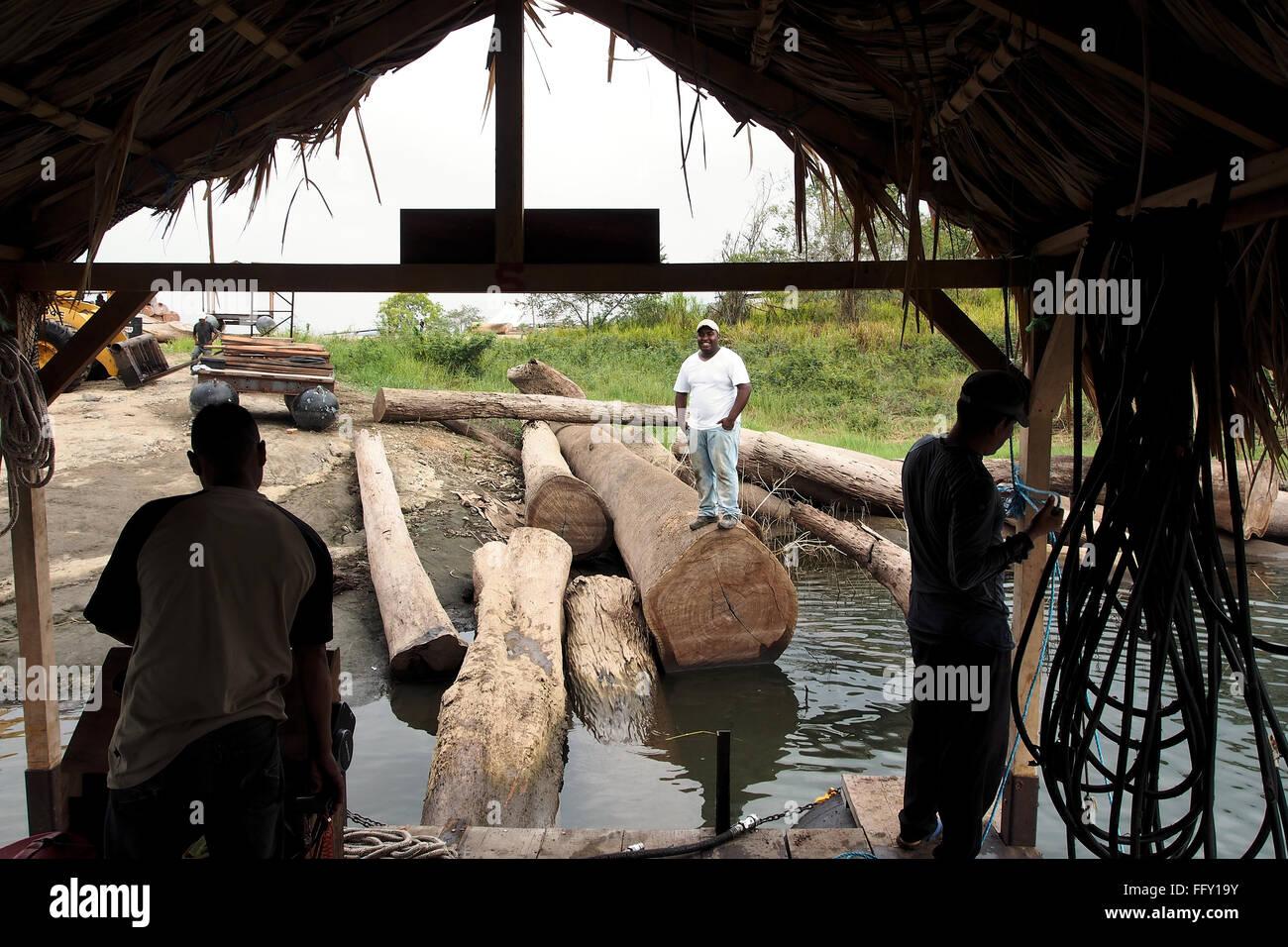 Underwater logging A view of the dry sorting area. The man on the log ...