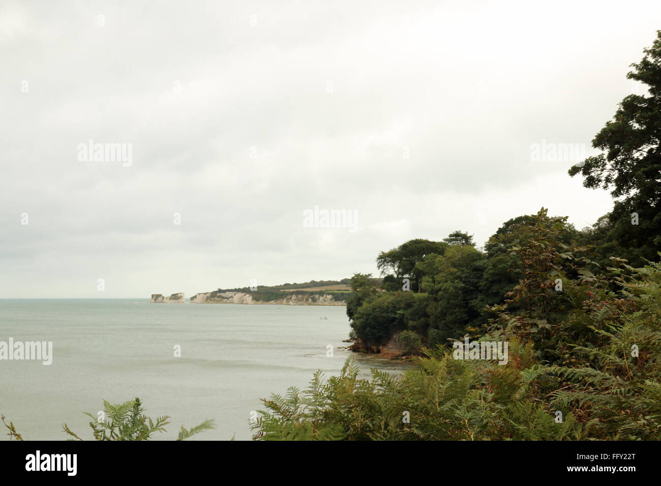View towards Old Harry rocks from Middle Beach,Studland,Dorset,UK Stock ...