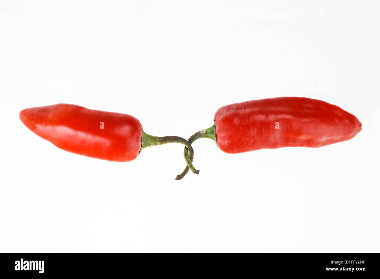 Two chillies hi-res stock photography and images - Alamy
