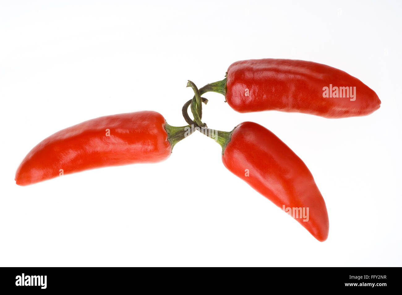 Three red chillies hi-res stock photography and images - Alamy