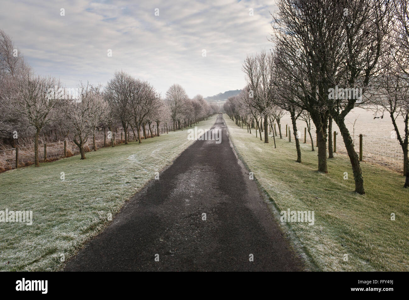 Track through a frosty landscape - Aberdeenshire, Scotland Stock Photo ...
