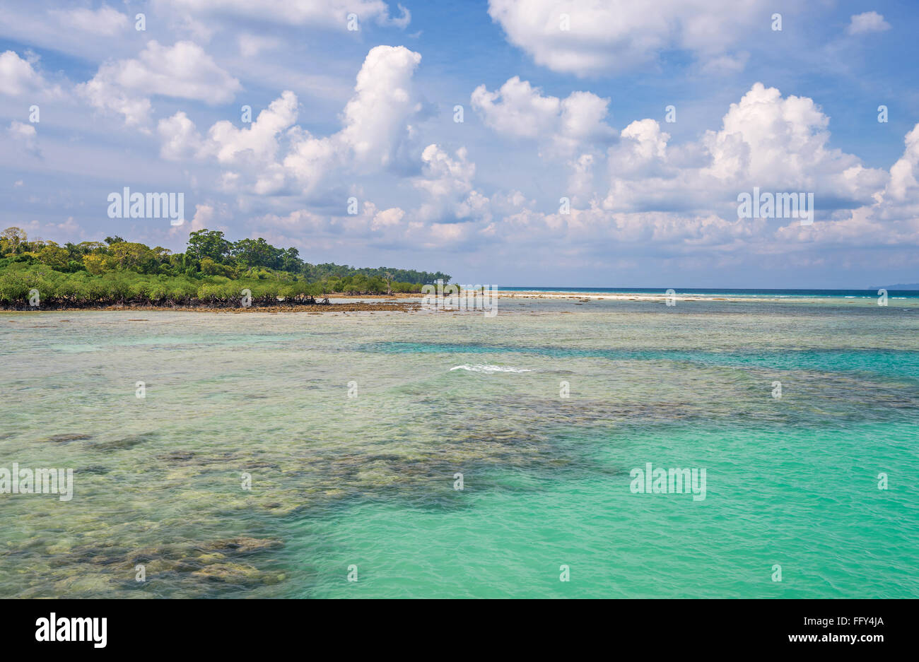 Turquoise water at Bharatpur Beach, Neil, Island, Andaman and Nicobar ...