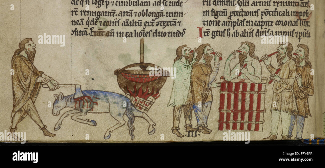 This book delves into the ancient ritual of kingship in Ireland ...