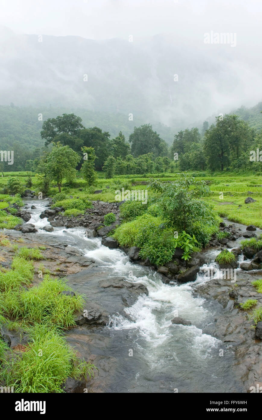 Rivulets hi-res stock photography and images - Alamy