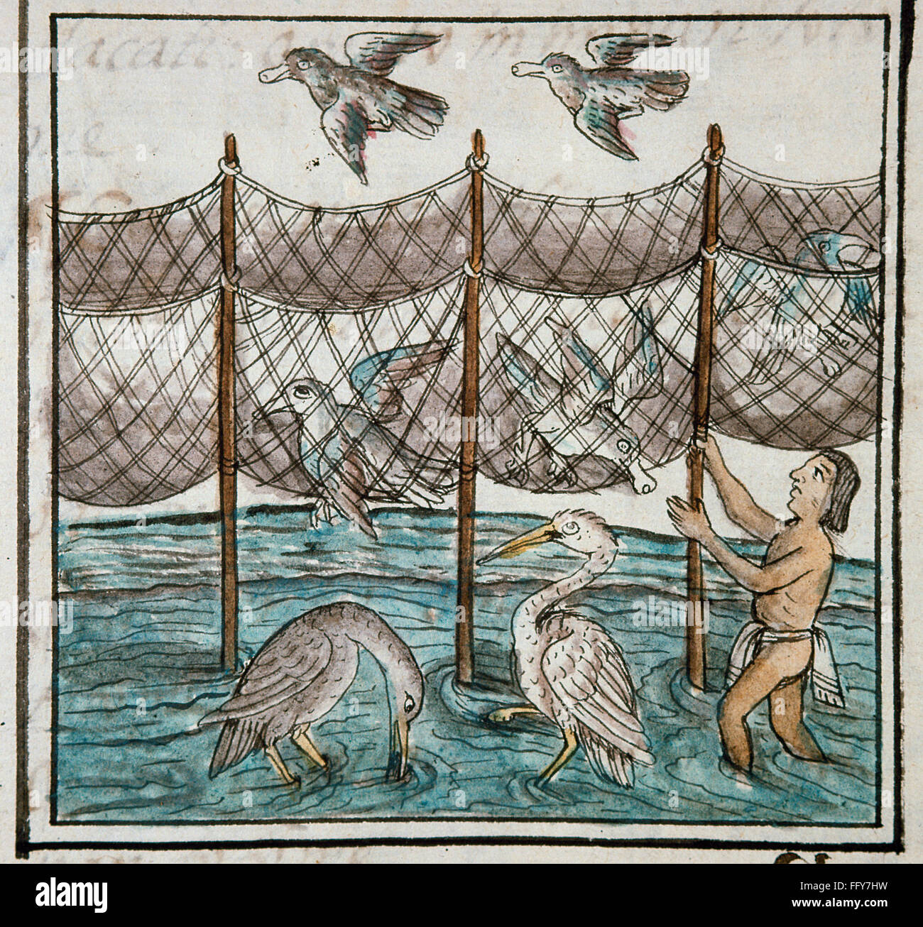 MEXICO: AZTEC HUNTER./nAn Aztec man hunting birds with nets. Drawing ...