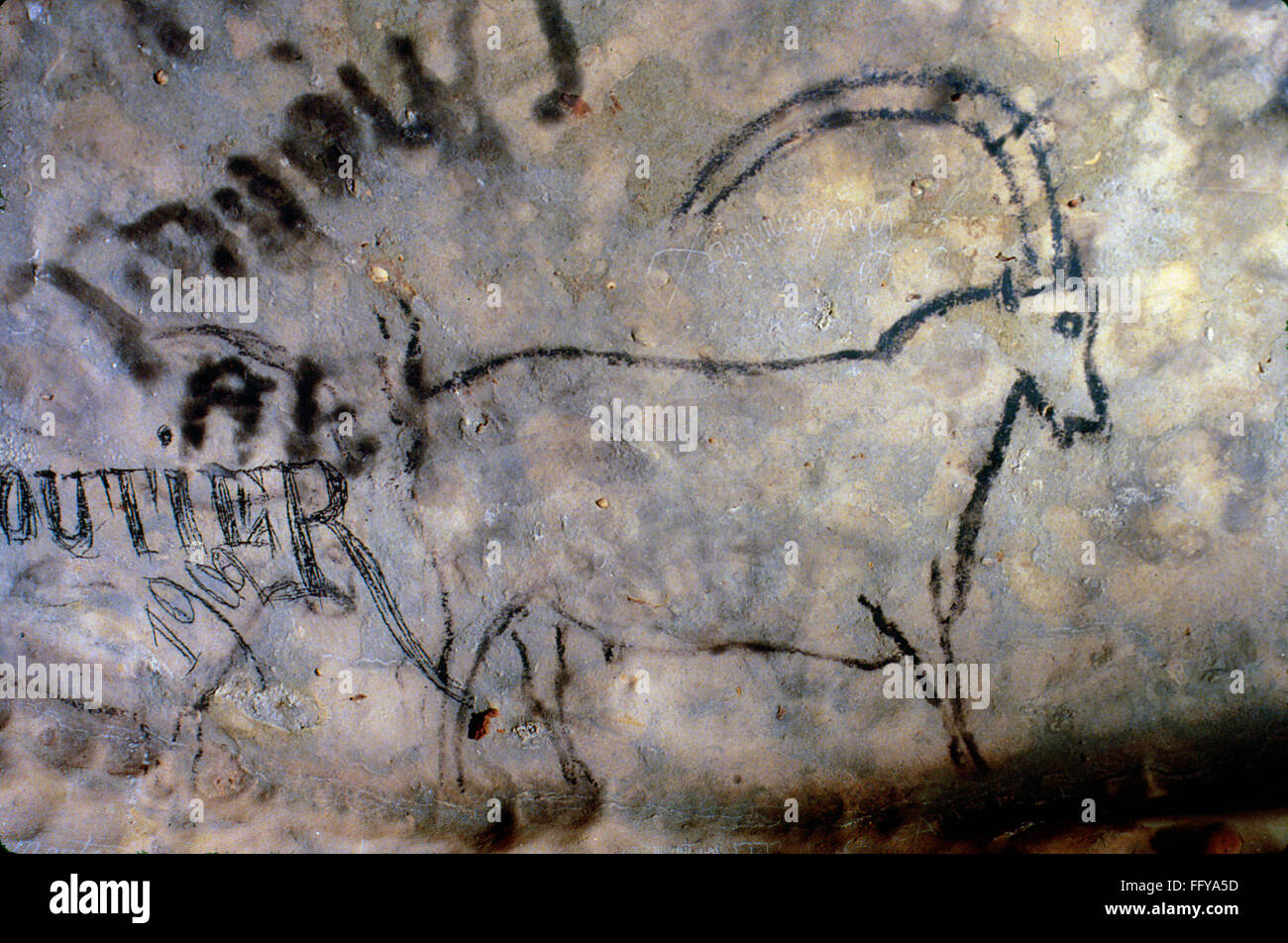 CAVE ART: IBEX. /nIbex painted in black outline on the Grand Ceiling of ...
