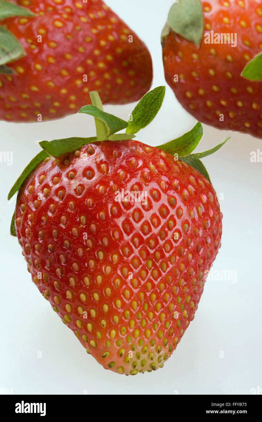 Strawberries delicious strawberries in hi-res stock photography and ...