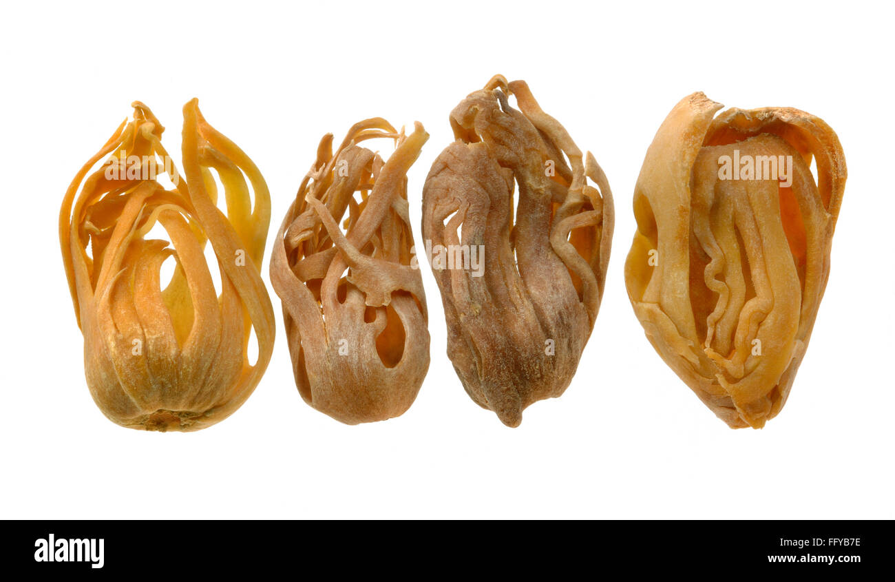 Mace up hi-res stock photography and images - Alamy