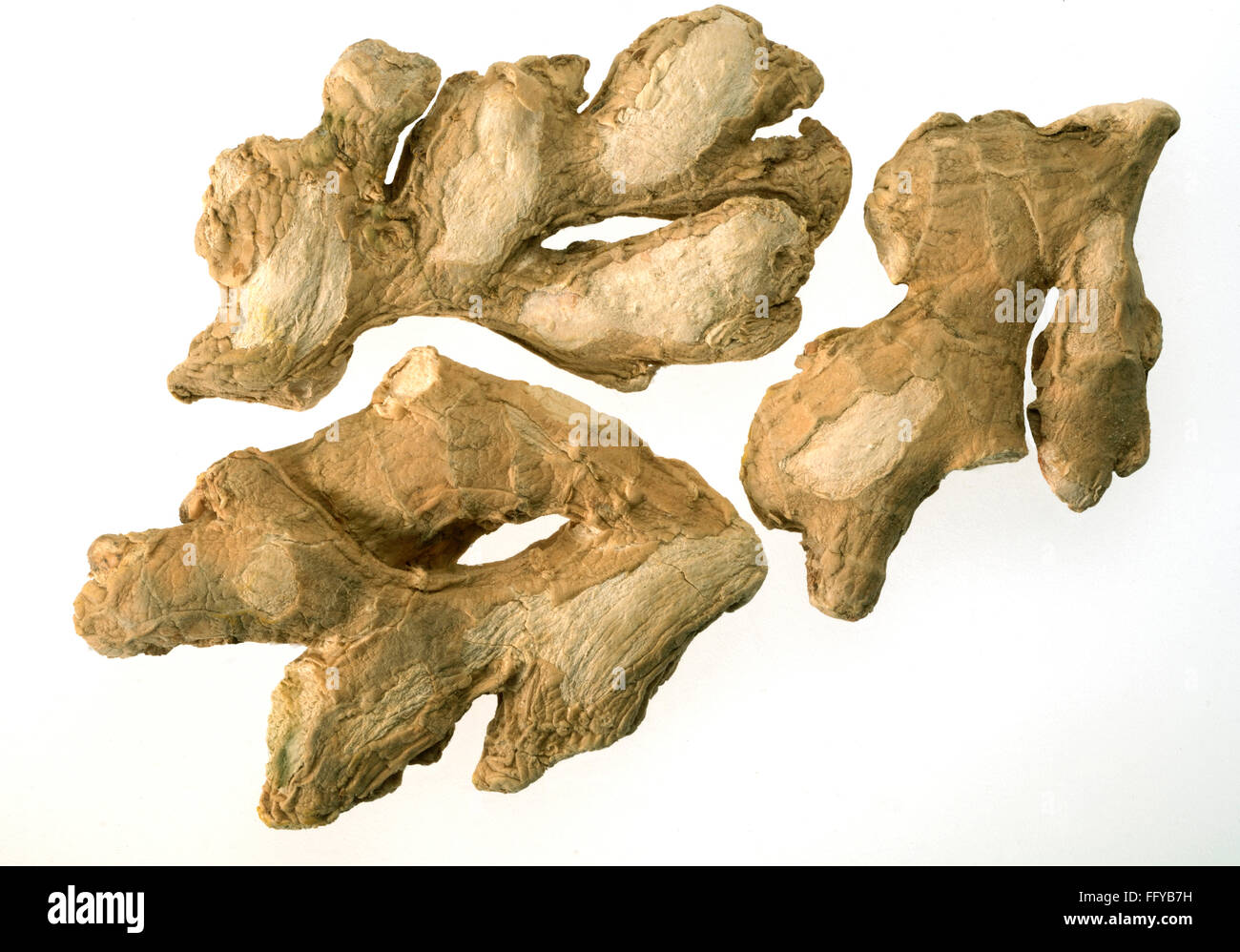 dry ginger dried ginger spice white background Sonth Sonti Soonth Suntha Shunti Stock Photo - Alamy