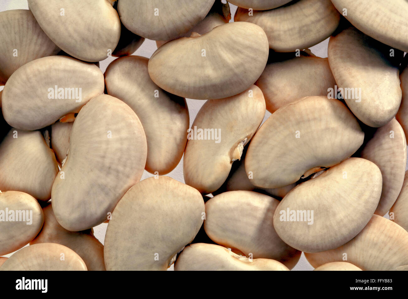 broad beans and pulses Stock Photo - Alamy