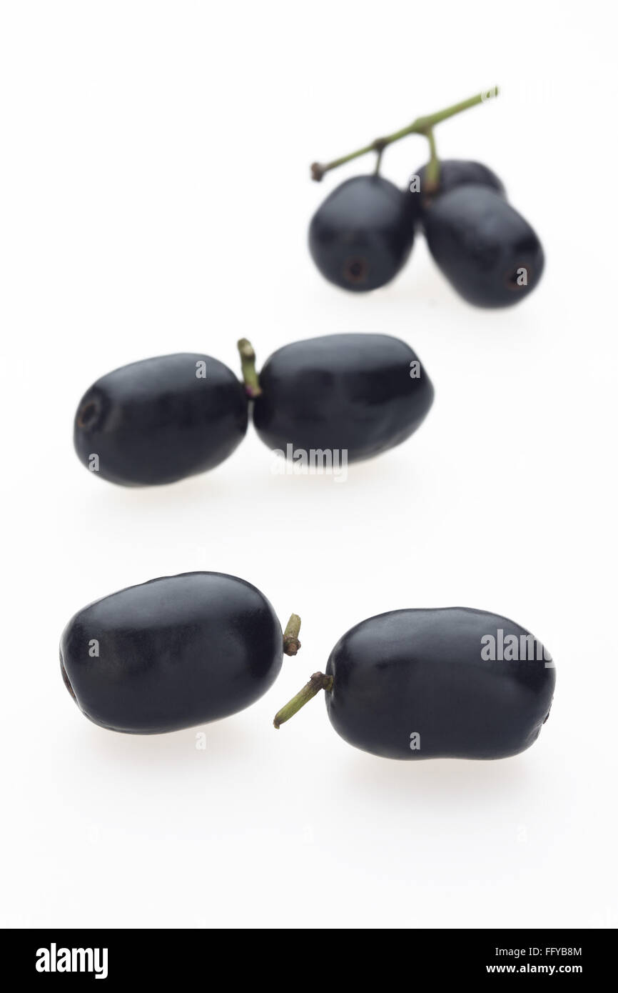 India syzygium cumini Cut Out Stock Images & Pictures - Alamy