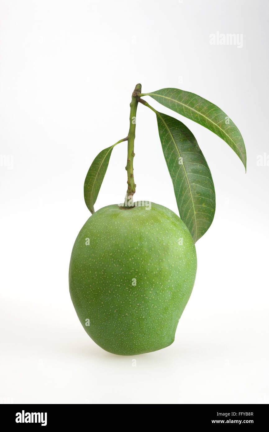 Green color mango hi-res stock photography and images - Alamy