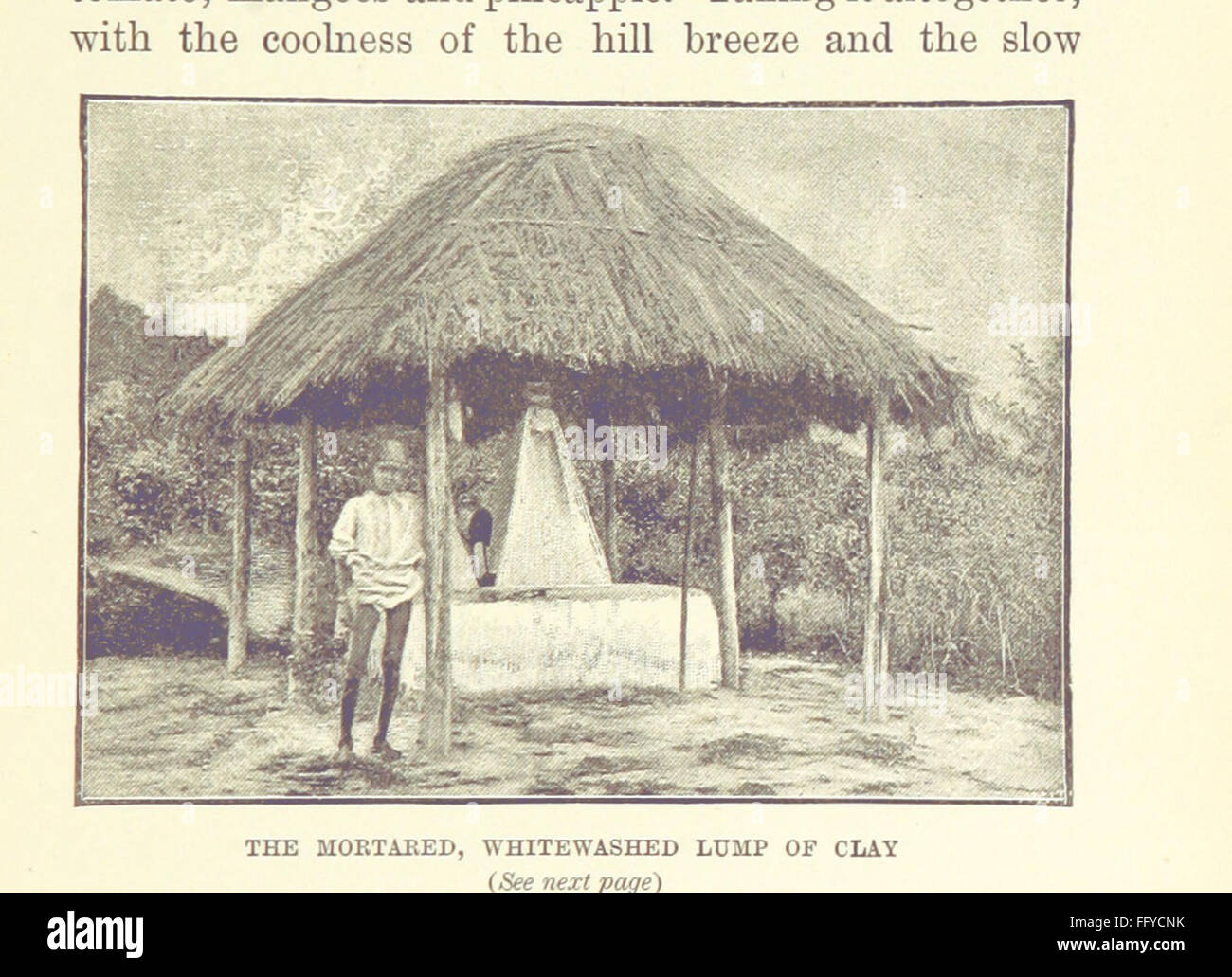 This book offers an informative exploration of Ceylon (Sri Lanka) and ...