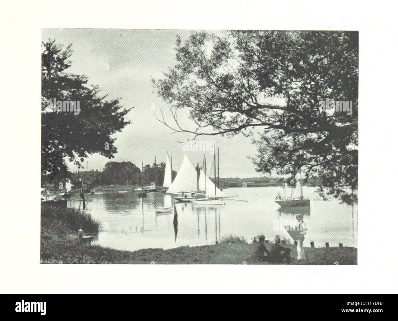 This book features a collection of sun-printed photographs of the ...