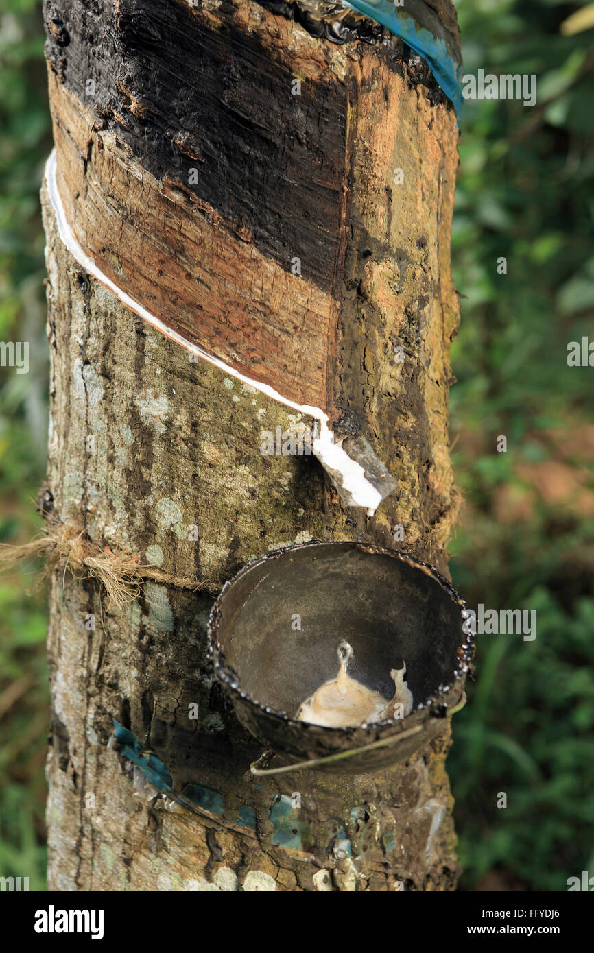 Collected latex hi-res stock photography and images - Alamy